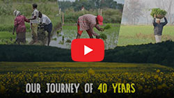 NABARD - National Bank For Agriculture And Rural Development